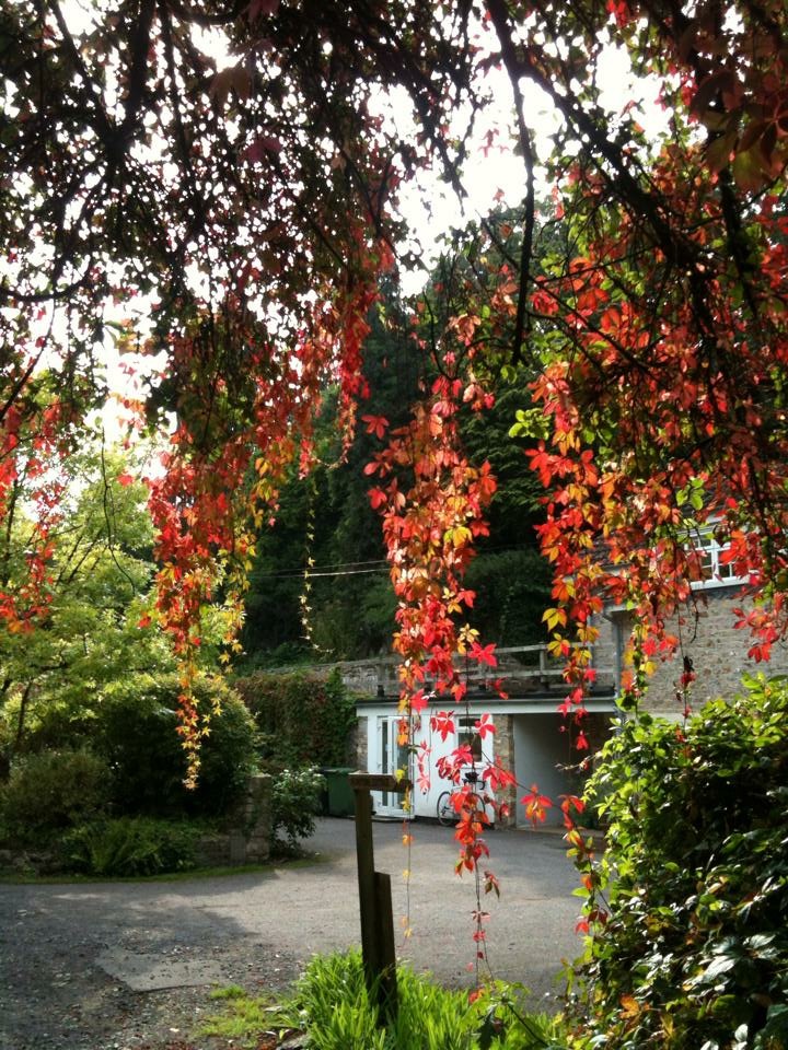 What you think is how you play! - Jackdaws Music Education Trust